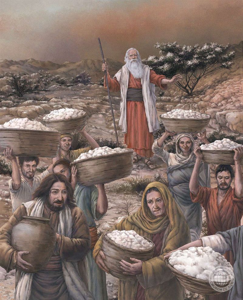 Manna - Church of God Knowledge Encyclopedia